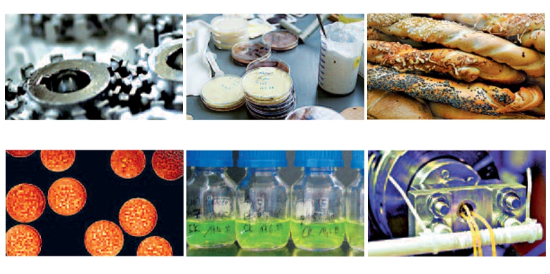 Homepage - ISFRS – International Symposium on Food Rheology and ...